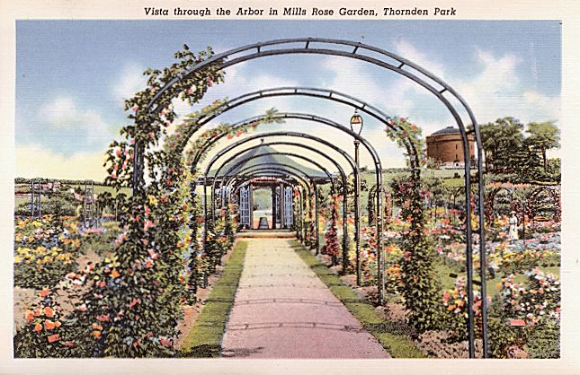 Syracuse Parks – 100 Years of Fun and More to Come! | STRATHMORE ...